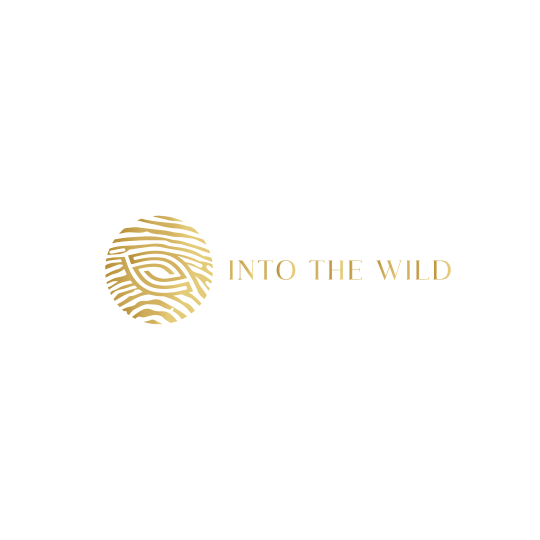 Into The Wild – Bespoke Luxury Wildlife Experiences in India