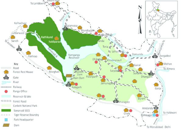 Jim Corbett National Park & Luxury Jungle Safari | Into The Wild